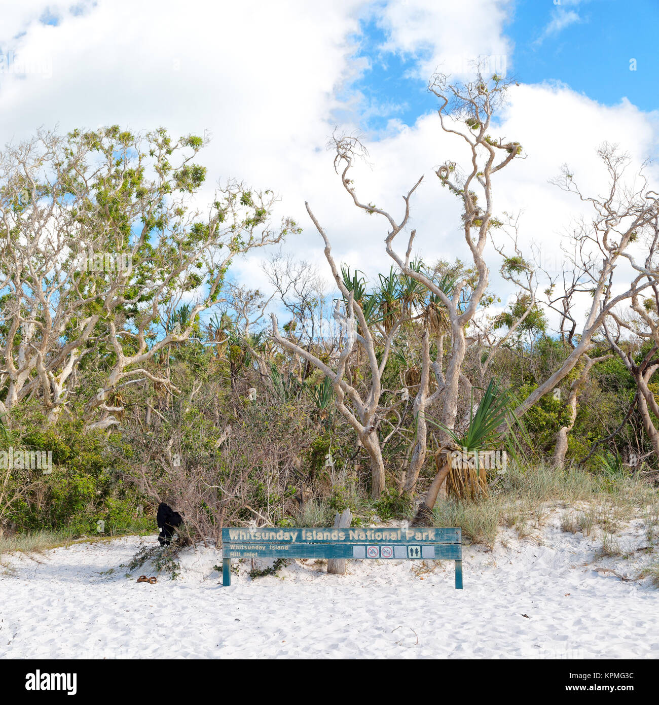 Whitehaven island camping hi-res stock photography and images - Alamy