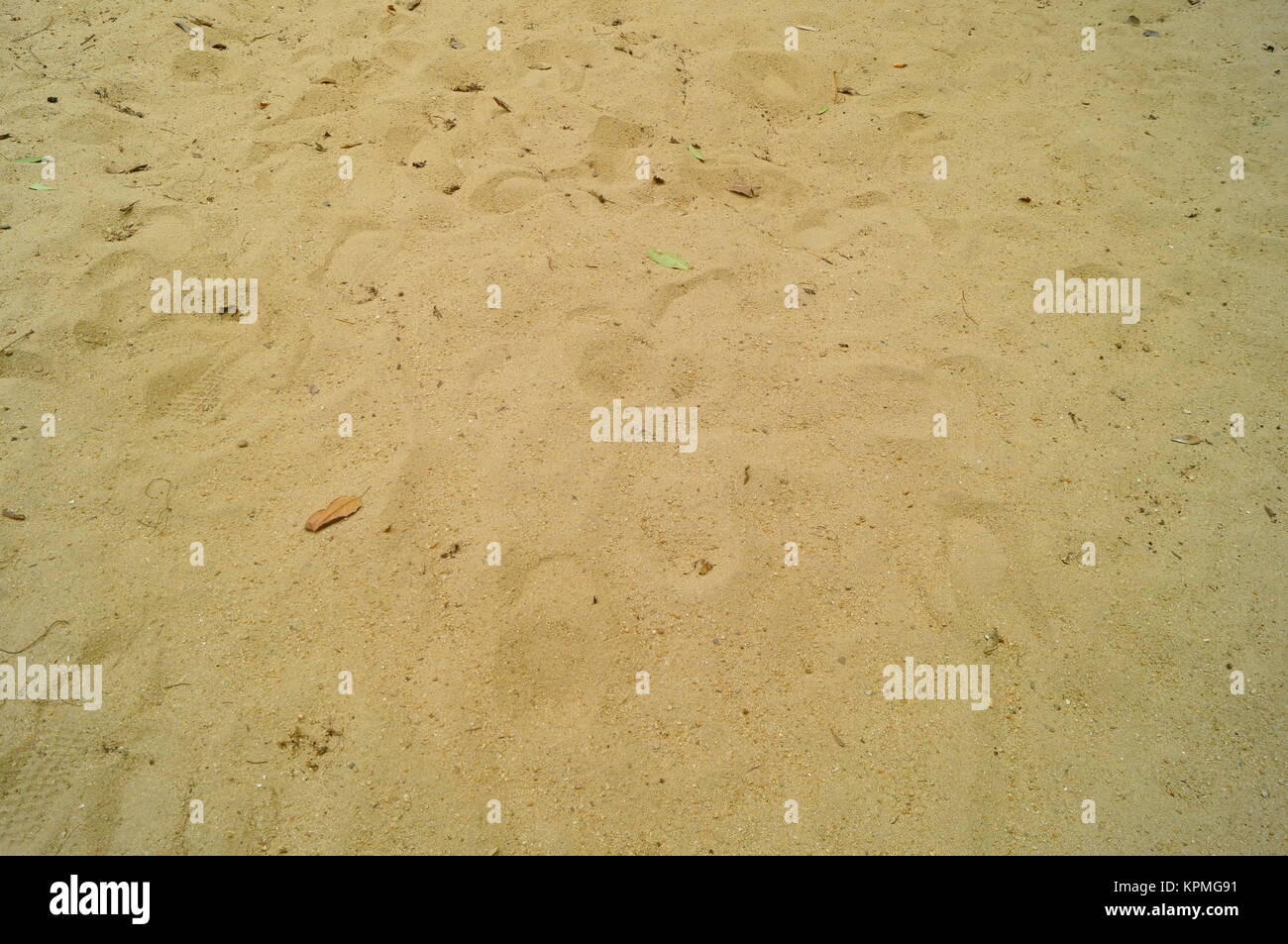 A close-up of the sand. A piece of sand Stock Photo - Alamy