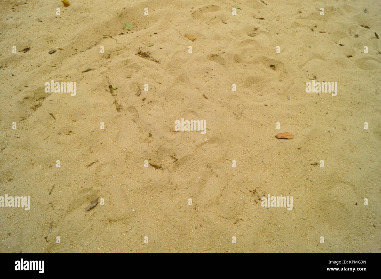 A close-up of the sand. A piece of sand Stock Photo - Alamy