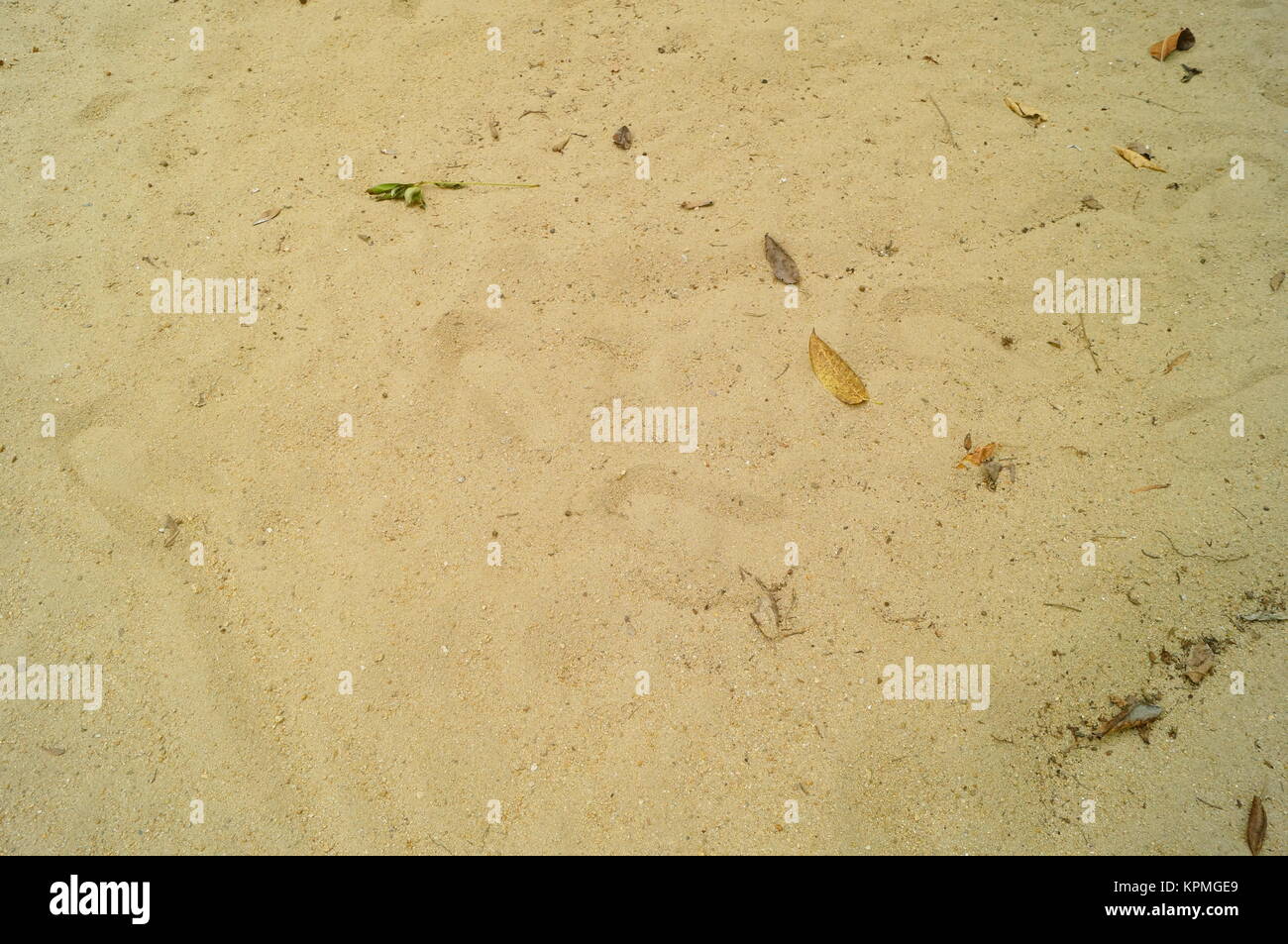 A close-up of the sand. A piece of sand Stock Photo - Alamy