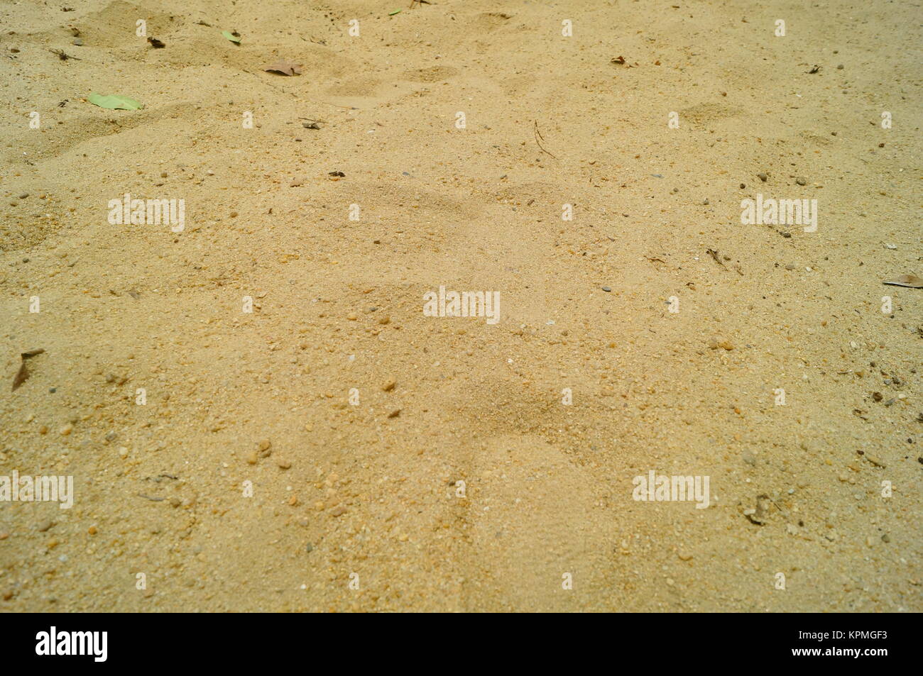 A close-up of the sand. A piece of sand Stock Photo - Alamy