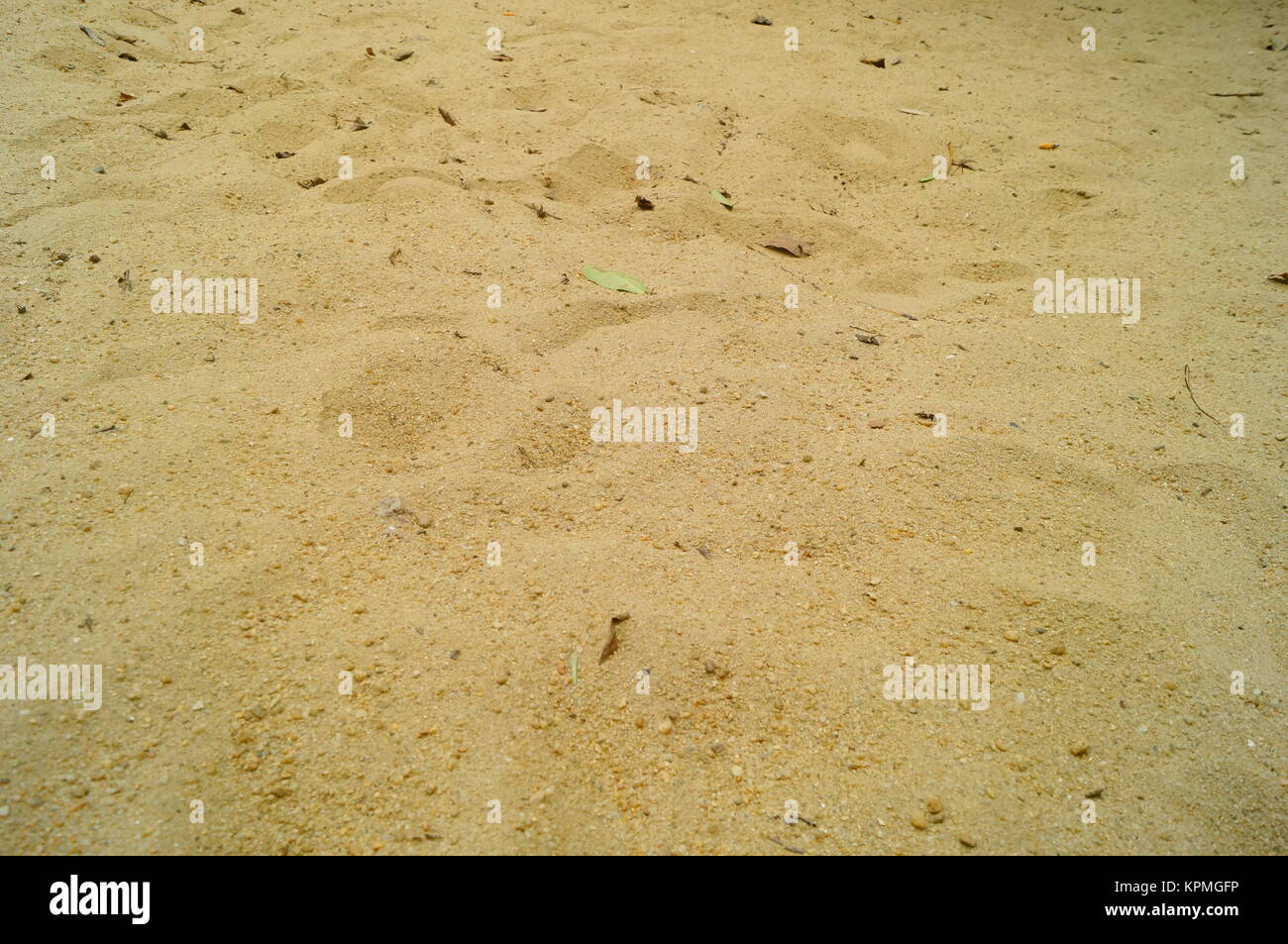 A close-up of the sand. A piece of sand Stock Photo - Alamy