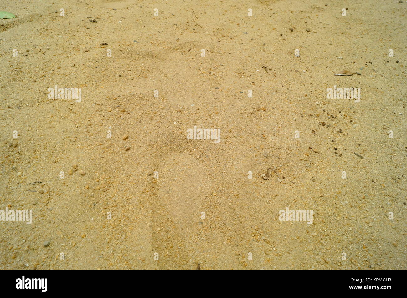 A close-up of the sand. A piece of sand Stock Photo - Alamy