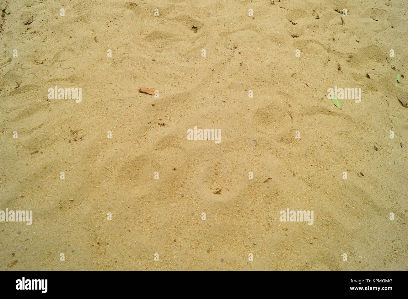 A close-up of the sand. A piece of sand Stock Photo - Alamy
