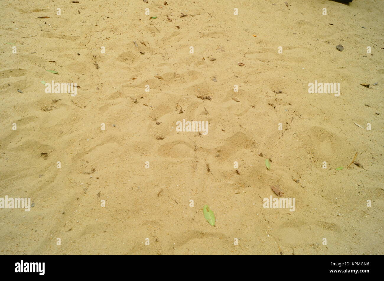 A close-up of the sand. A piece of sand Stock Photo - Alamy
