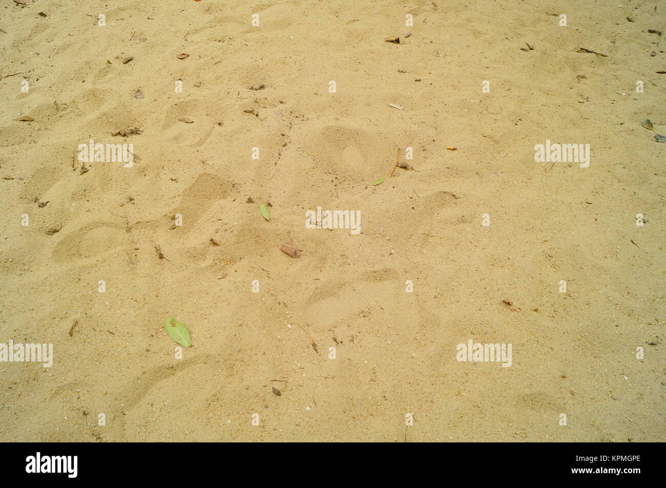 A close-up of the sand. A piece of sand Stock Photo - Alamy