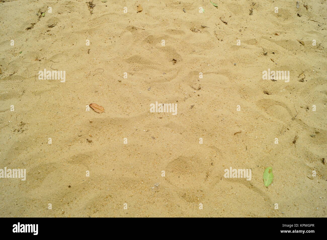 A close-up of the sand. A piece of sand Stock Photo - Alamy