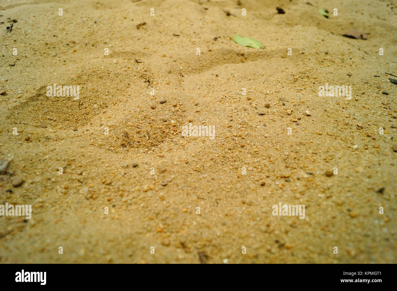 A close-up of the sand. A piece of sand Stock Photo - Alamy