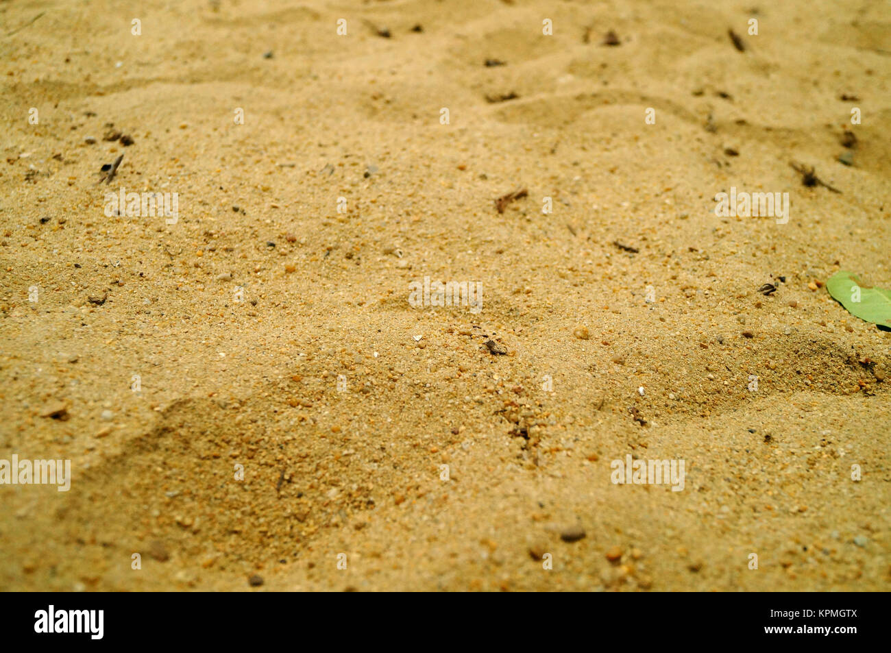 A close-up of the sand. A piece of sand Stock Photo - Alamy