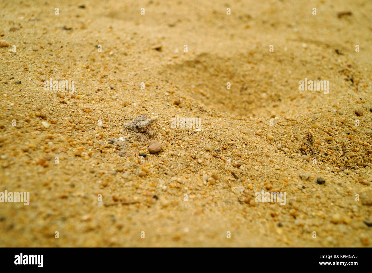 A close-up of the sand. A piece of sand Stock Photo - Alamy