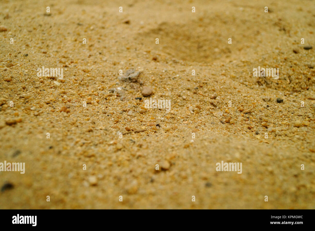 A close-up of the sand. A piece of sand Stock Photo - Alamy