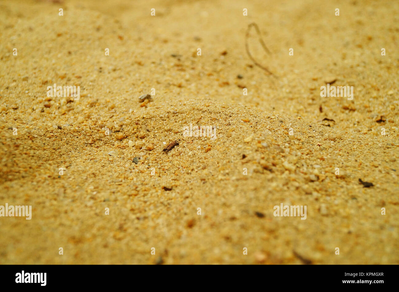 A close-up of the sand. A piece of sand Stock Photo - Alamy
