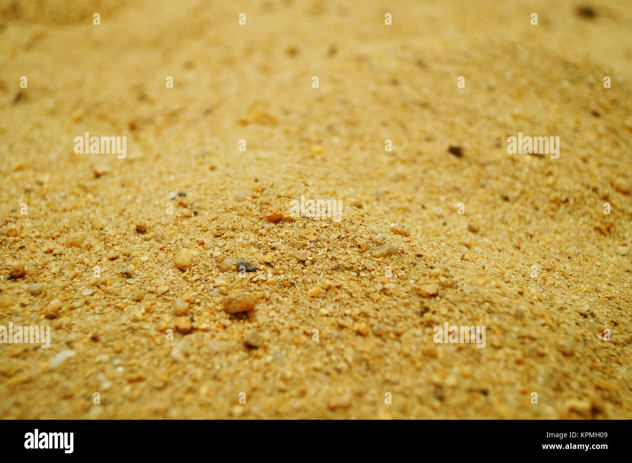 A close-up of the sand. A piece of sand Stock Photo - Alamy