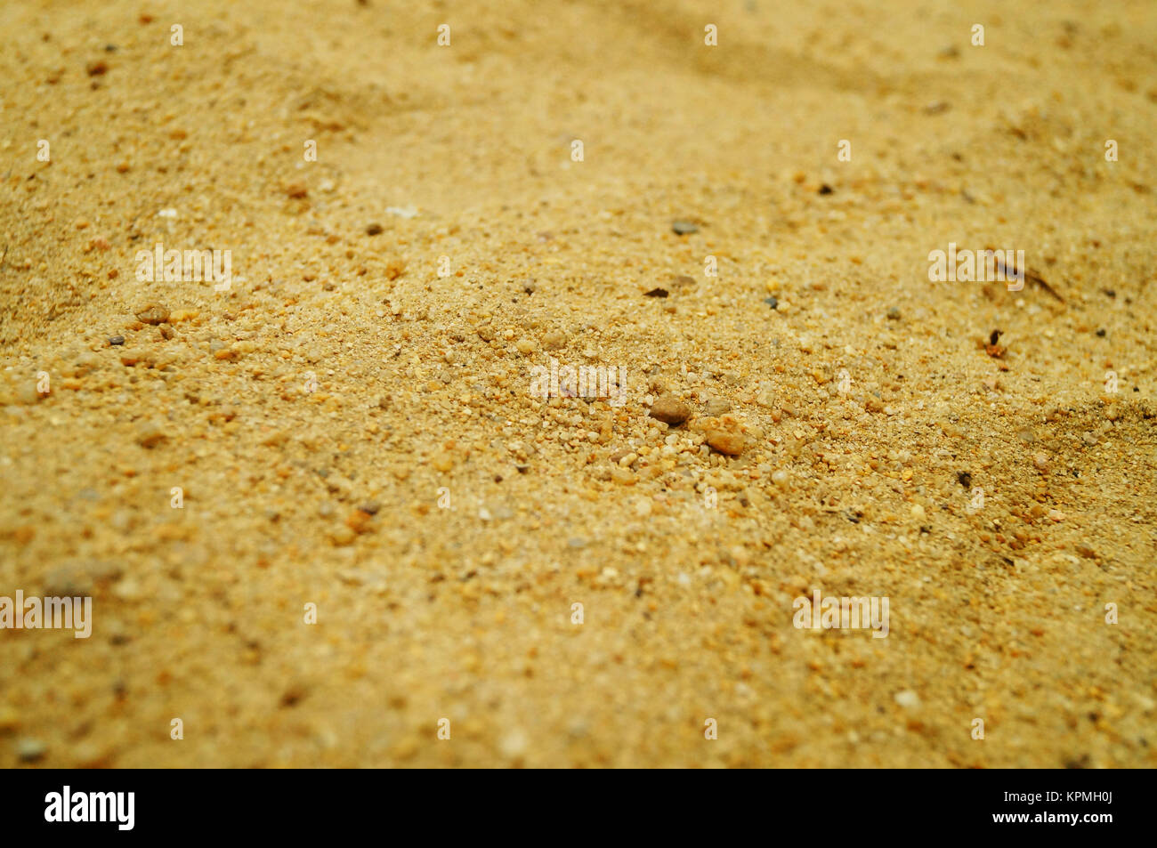 A close-up of the sand. A piece of sand Stock Photo - Alamy