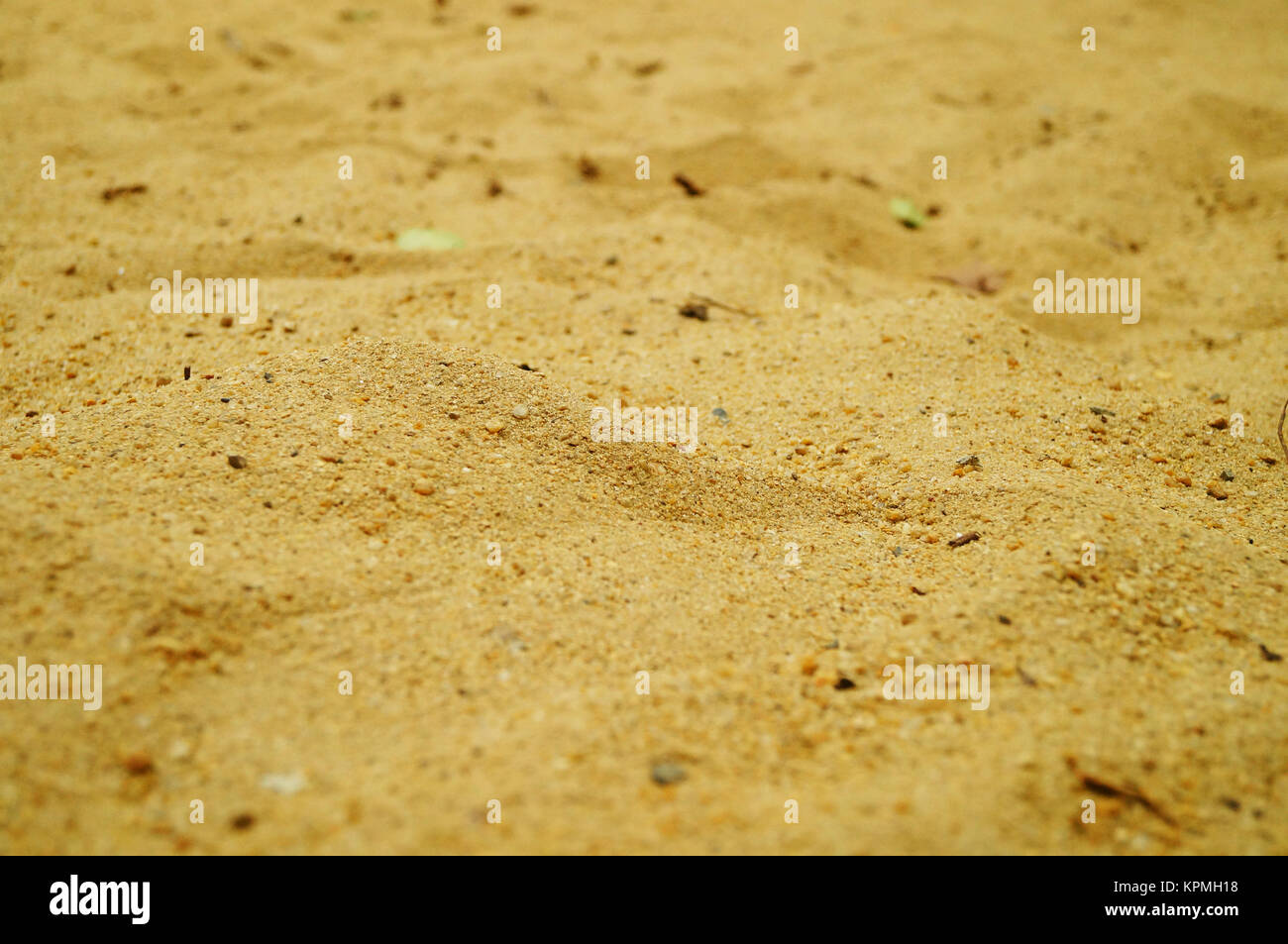 A close-up of the sand. A piece of sand Stock Photo - Alamy