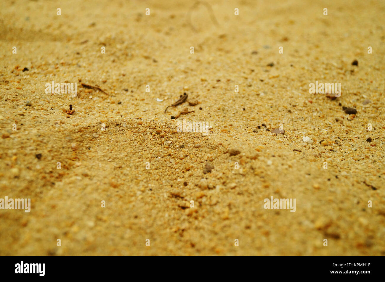 A close-up of the sand. A piece of sand Stock Photo - Alamy