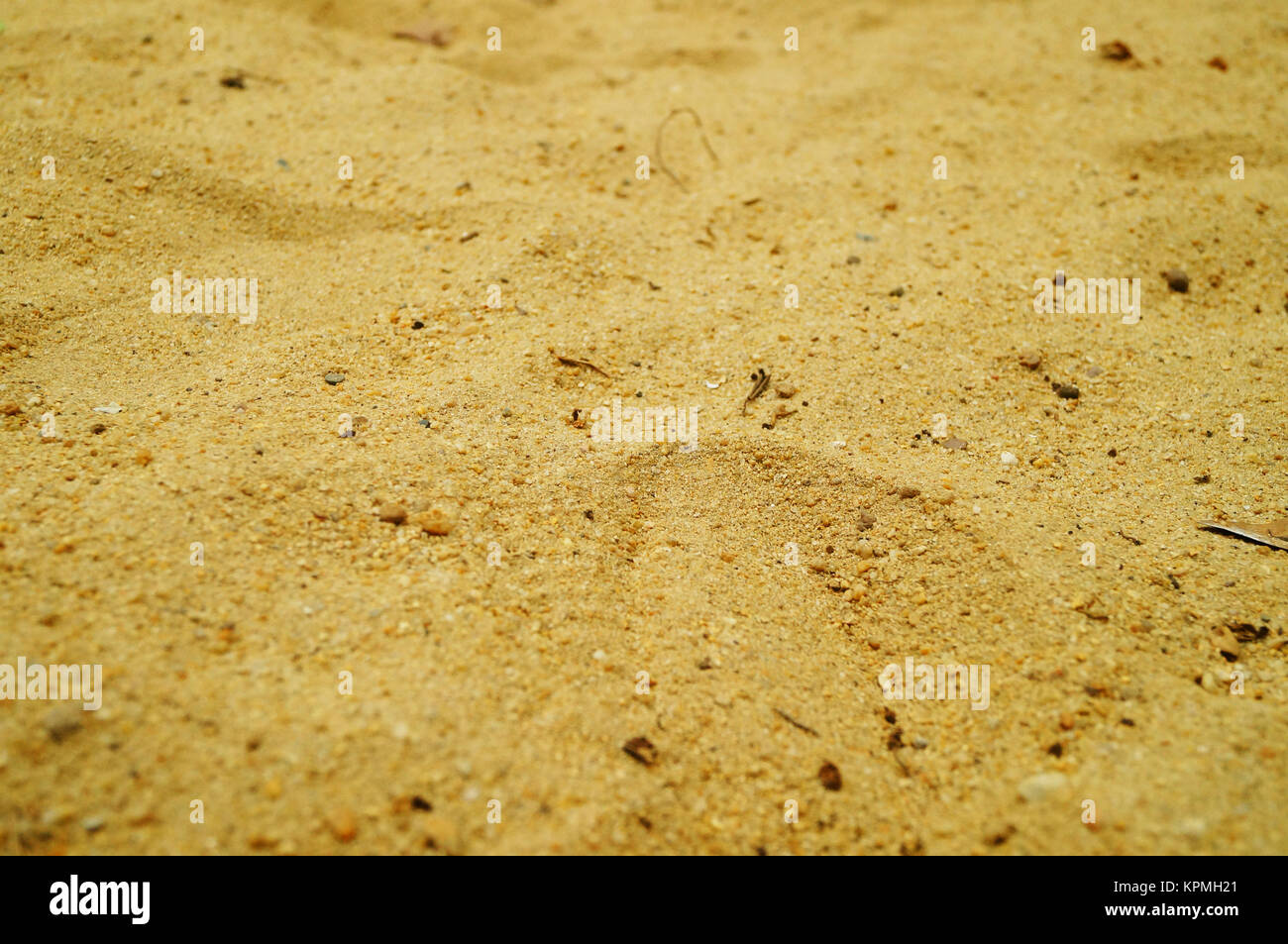 A close-up of the sand. A piece of sand Stock Photo - Alamy