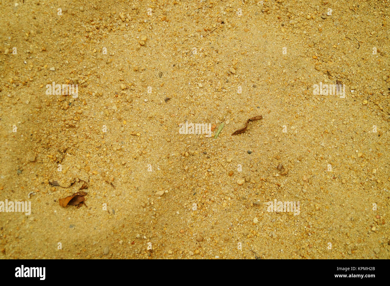 A close-up of the sand. A piece of sand Stock Photo - Alamy