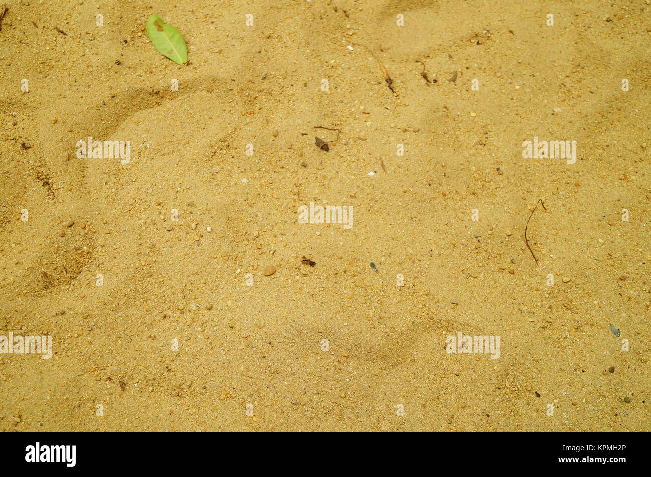 A close-up of the sand. A piece of sand Stock Photo - Alamy