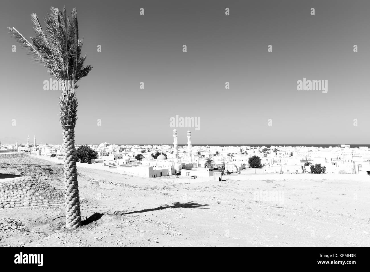 in muscat oman the cityscape and the palm near ocean view Stock Photo ...