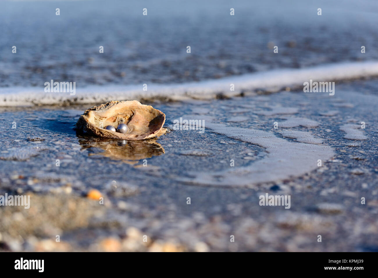 Australian pearls hi-res stock photography and images - Alamy