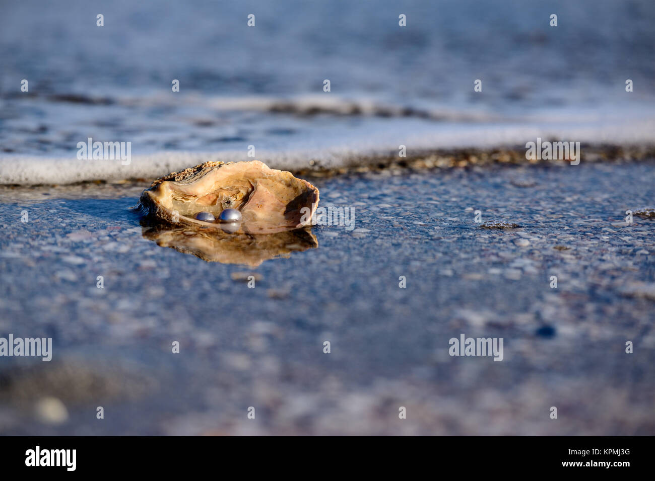 Australian pearls hi-res stock photography and images - Alamy