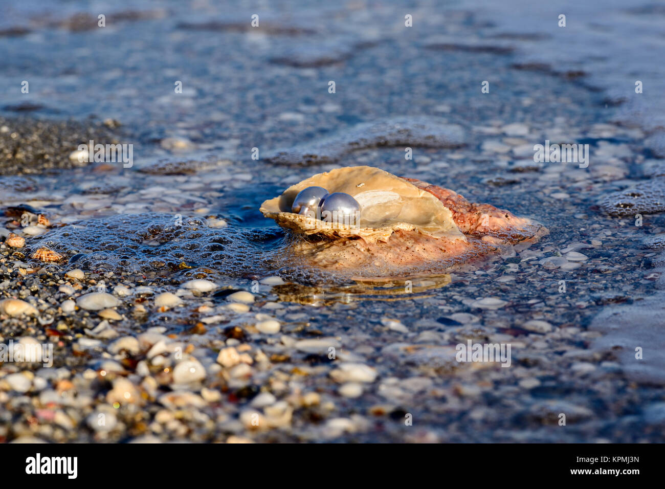 Australian pearls hi-res stock photography and images - Alamy