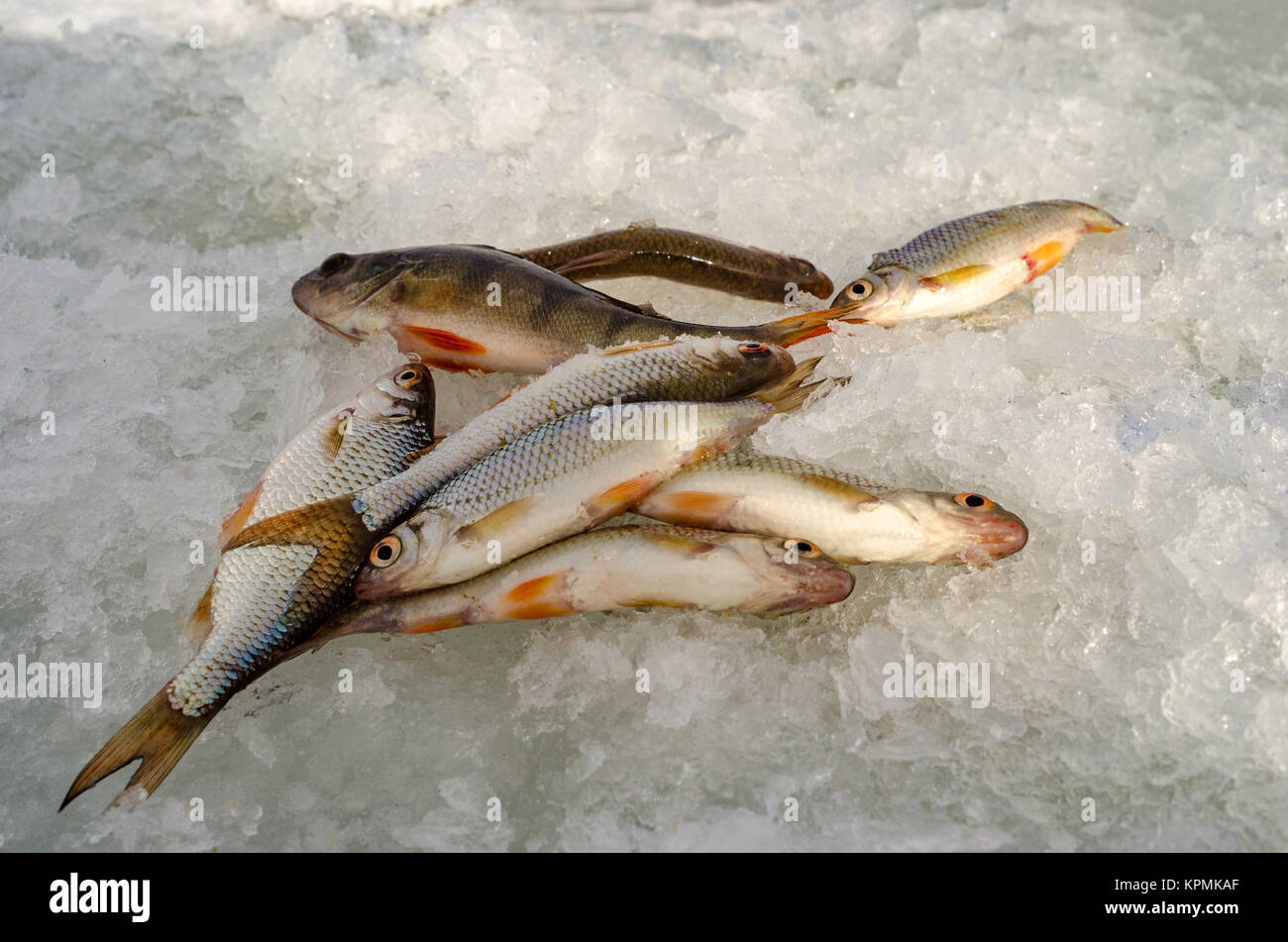 Spring ice fishing Stock Photo - Alamy