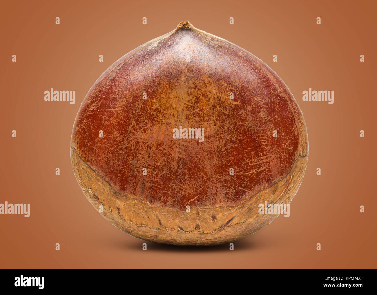 Fresh Chinese Chestnut Stock Photo - Alamy
