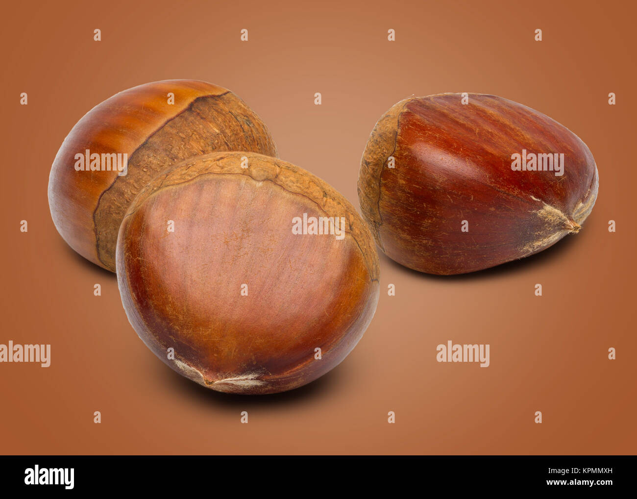 Fresh Chinese Chestnut Stock Photo - Alamy