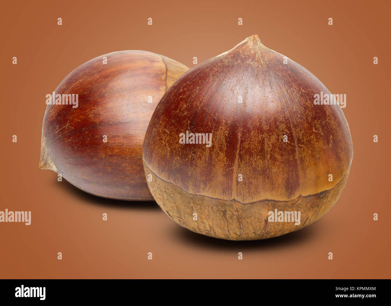 Fresh Chinese Chestnut Stock Photo - Alamy