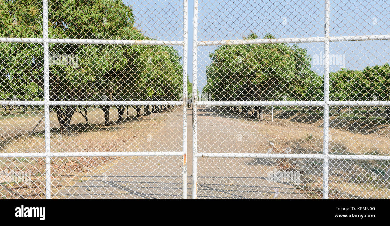 White metal gate and mango fruit farm view in background Stock Photo ...