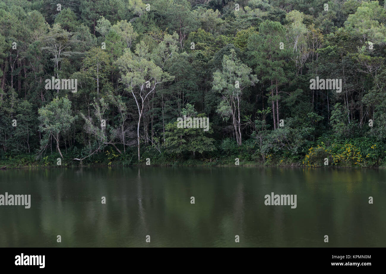 Pang oung hi-res stock photography and images - Alamy