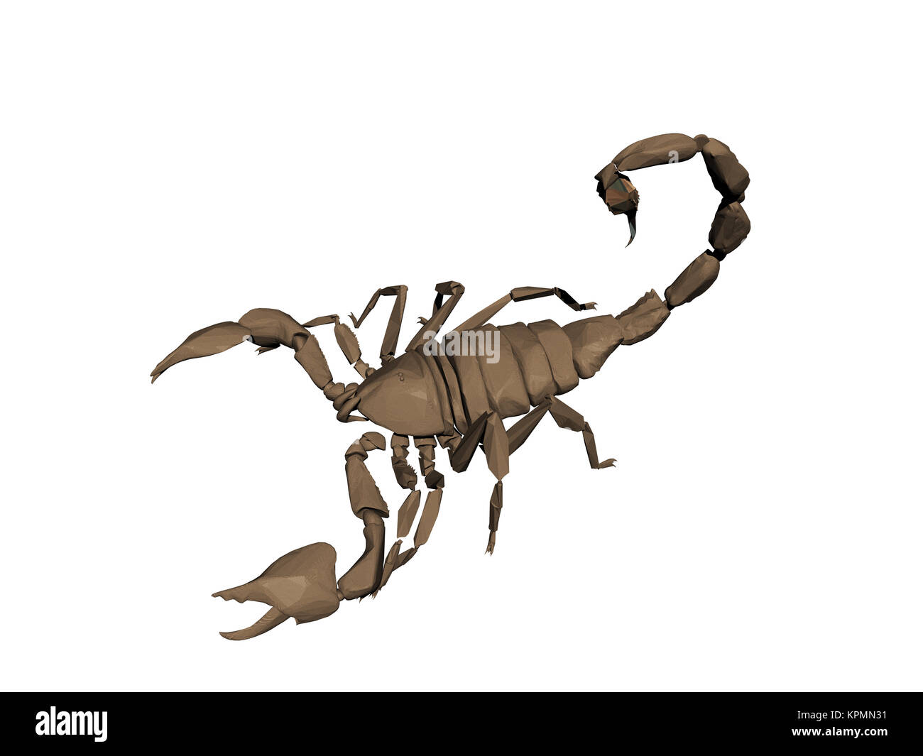 Sting animal hi-res stock photography and images - Alamy