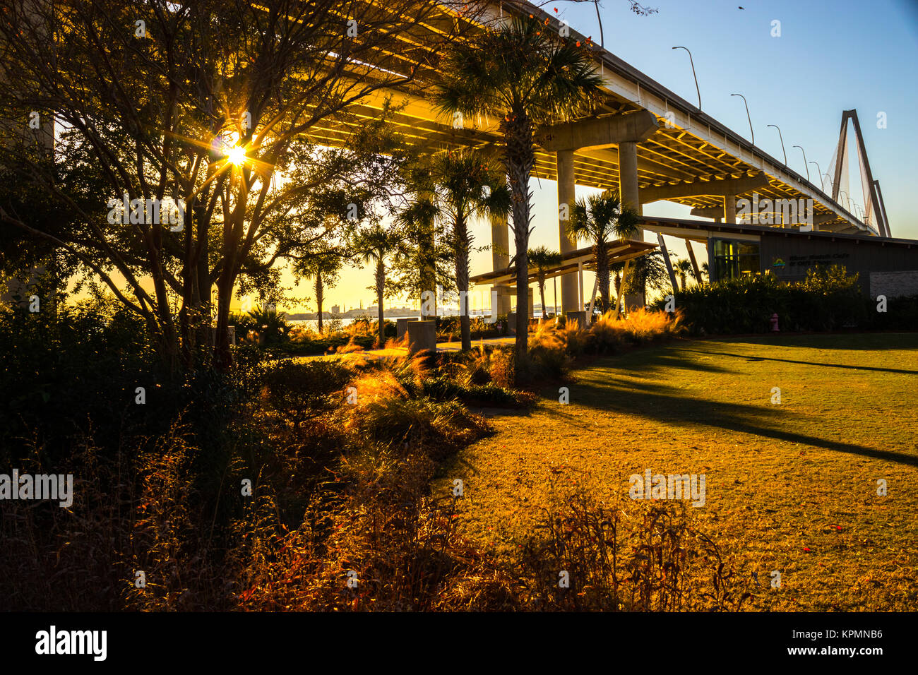sun beaming through trees in a park under a bridge Stock Photo - Alamy