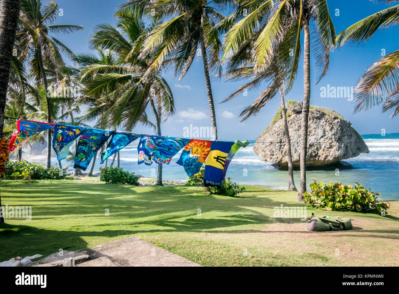 Barbados countryside hi-res stock photography and images - Alamy