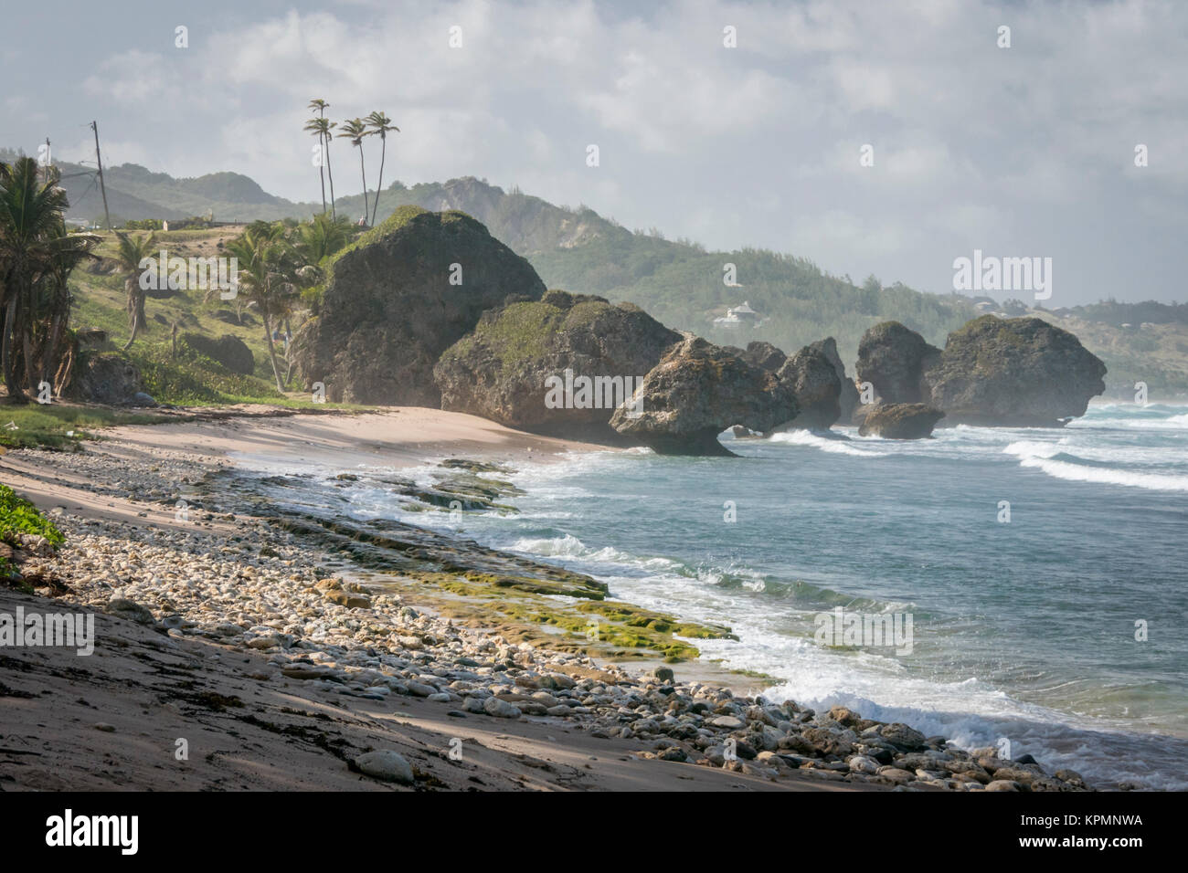 Bathsheba Beach, Barbados Stock Photo - Alamy