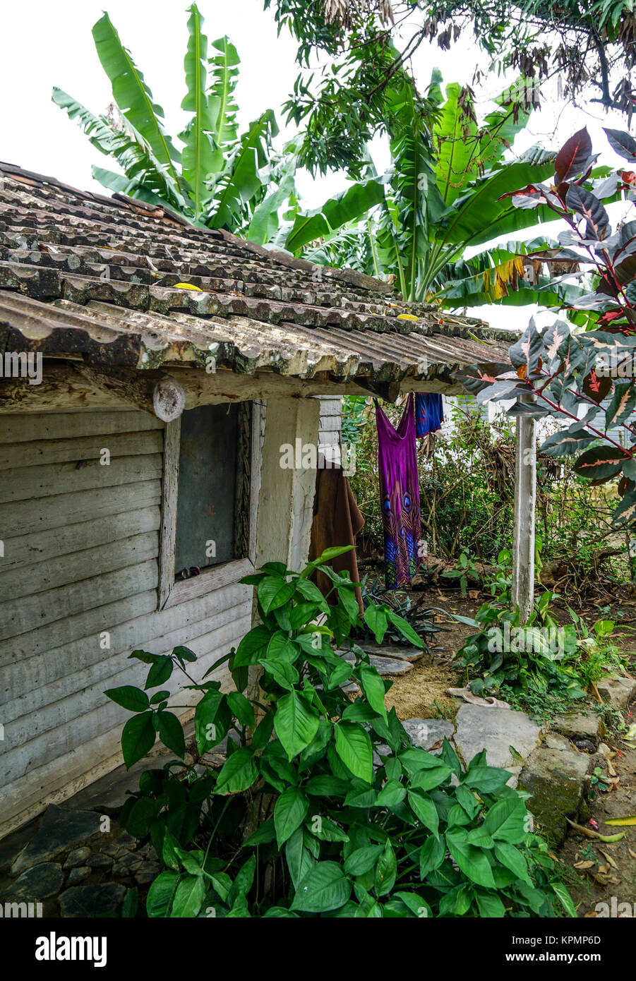 Poor living, rundown shed Stock Photo - Alamy