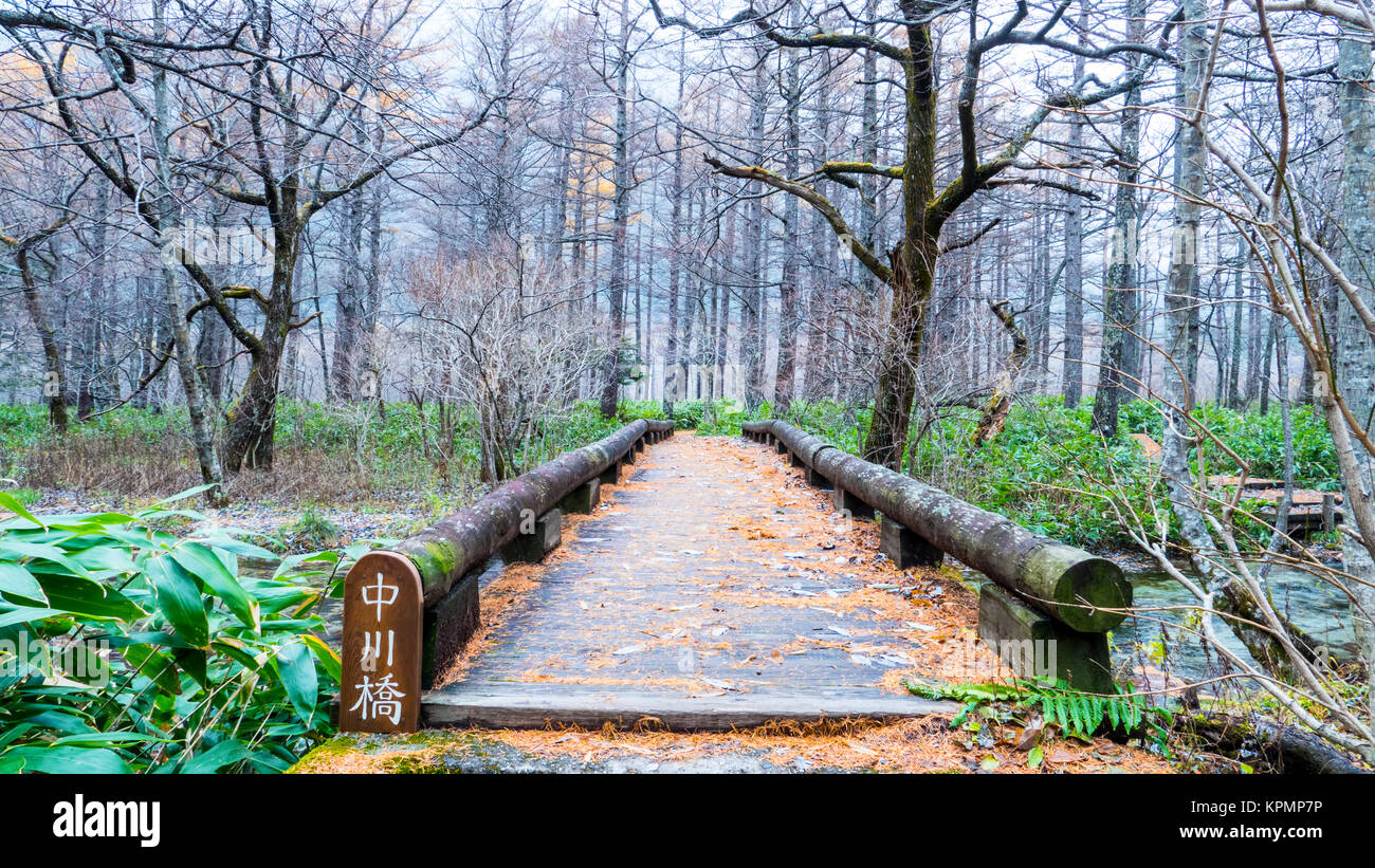 fall season of kamikochi national park, Japan Stock Photo - Alamy