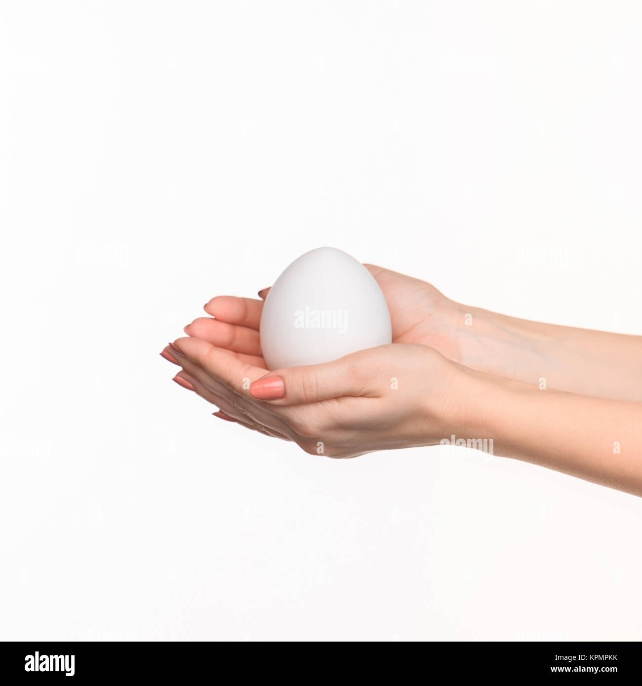 Hands holding a egg on white background Stock Photo - Alamy