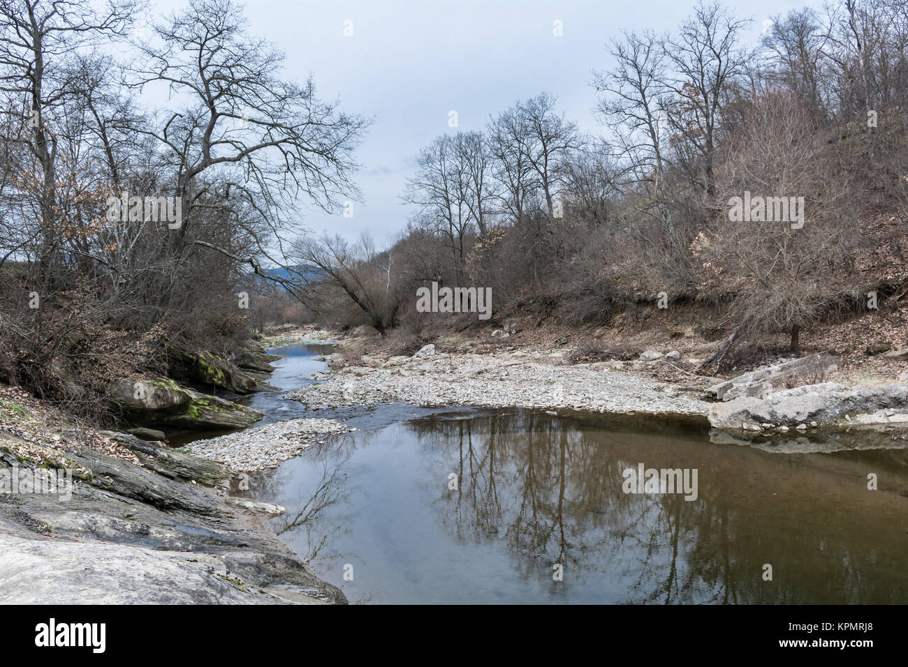 Part of dry river in the woods during spring Stock Photo - Alamy