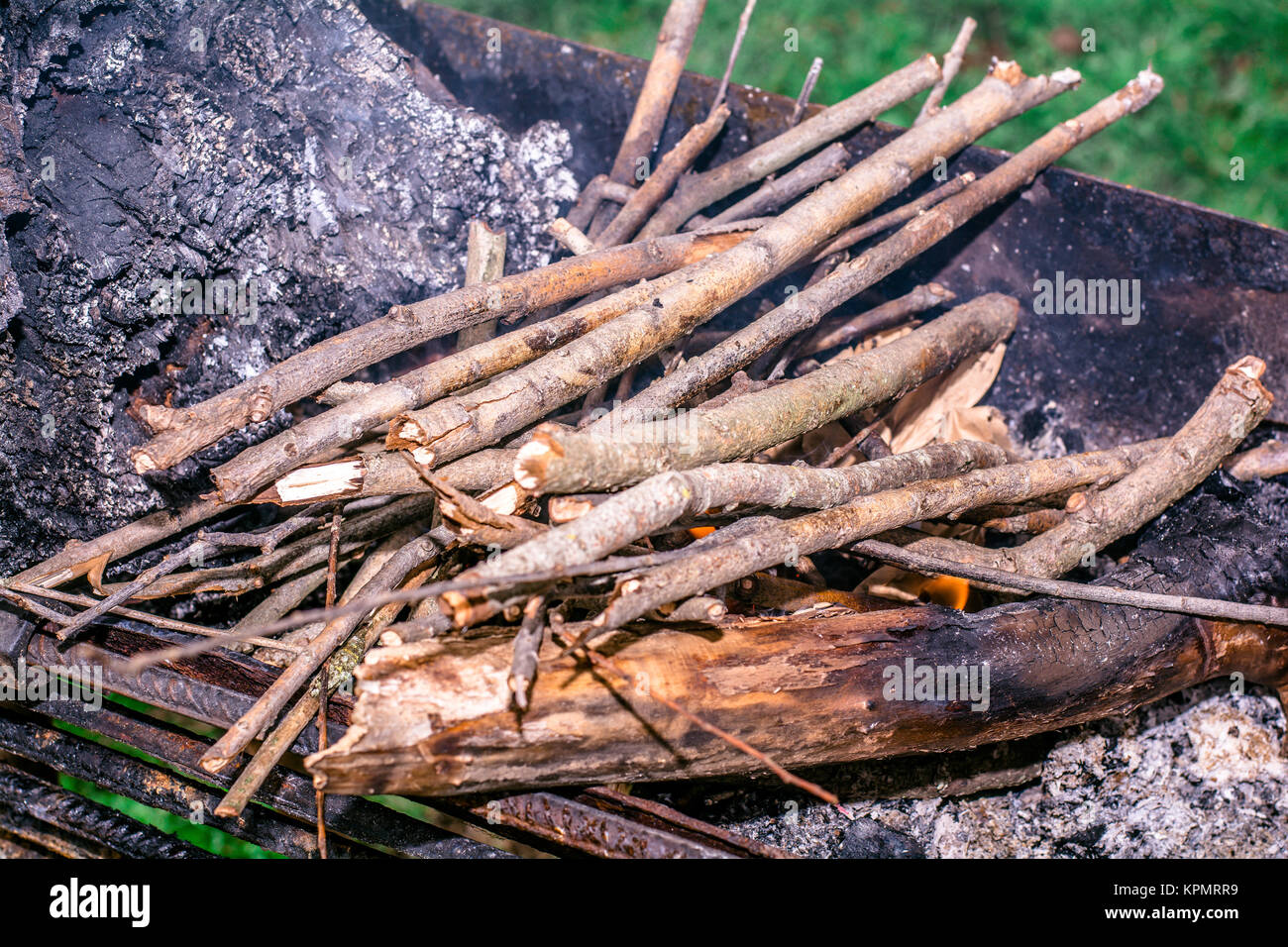 Trees for firewood in the forest. Doing barbecue among nature Stock ...