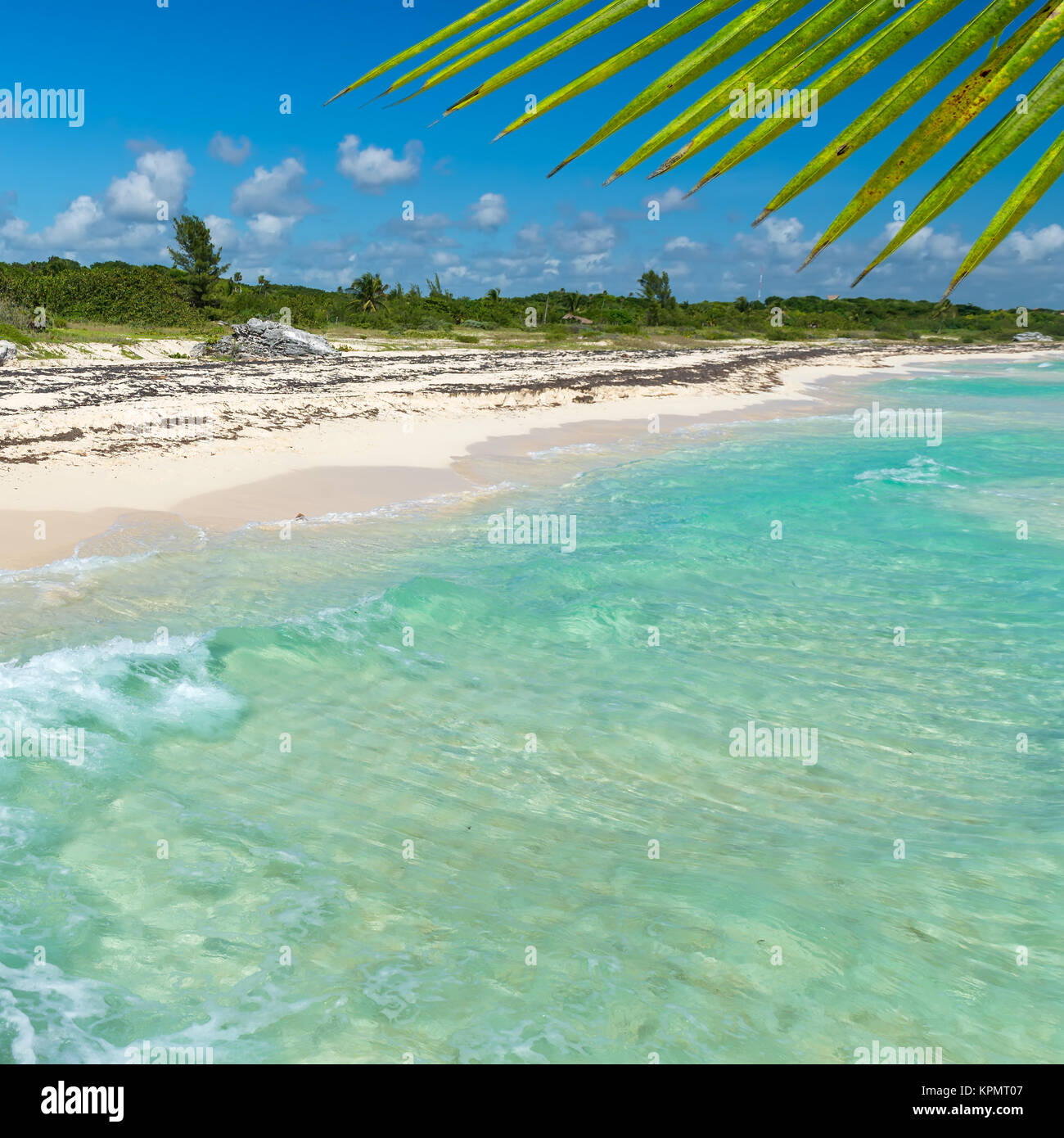 Wild Tropical Sandy Beach with Turquoise Waters. Caribbean Sea Scenery ...