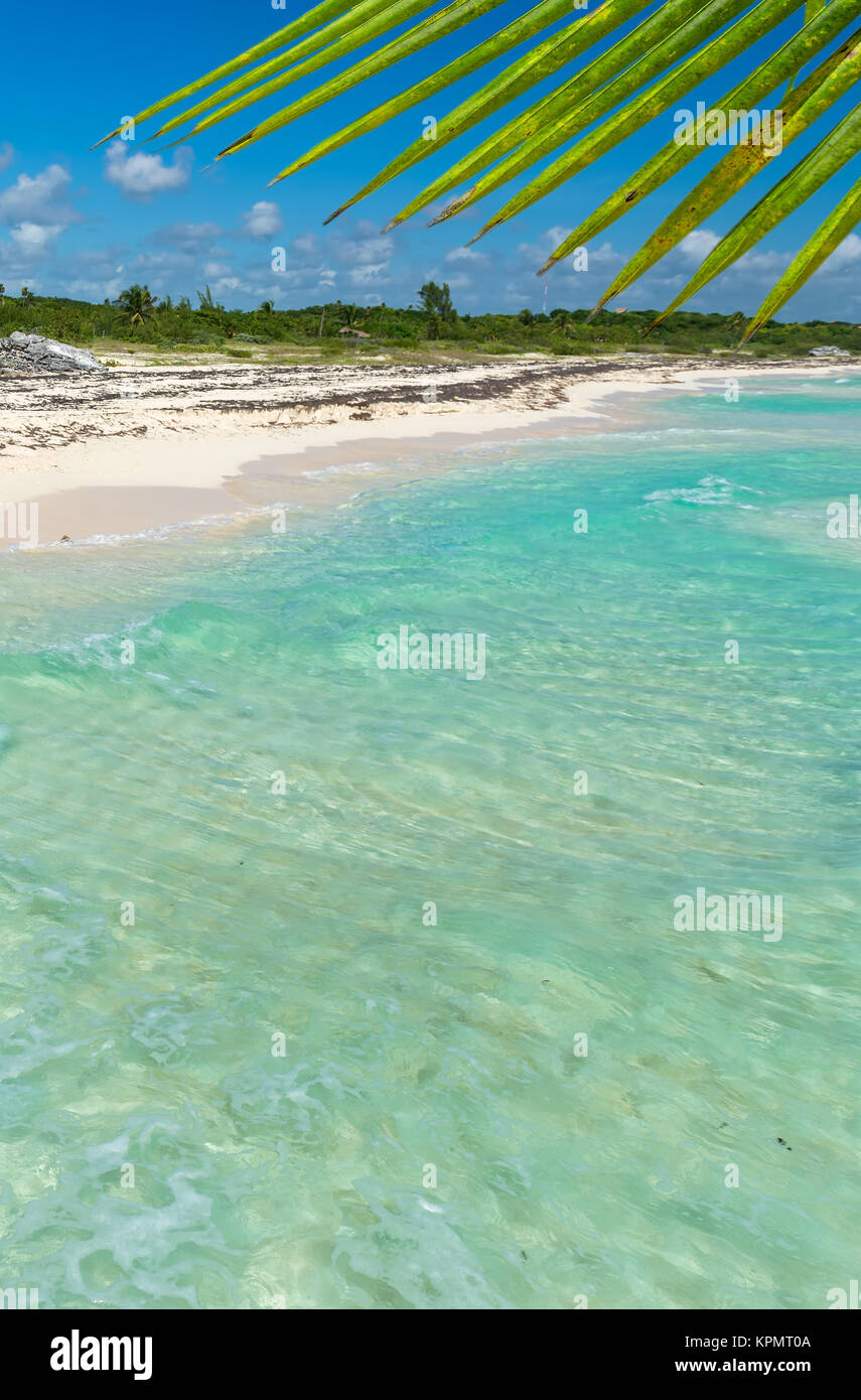 Wild beach party hi-res stock photography and images - Alamy