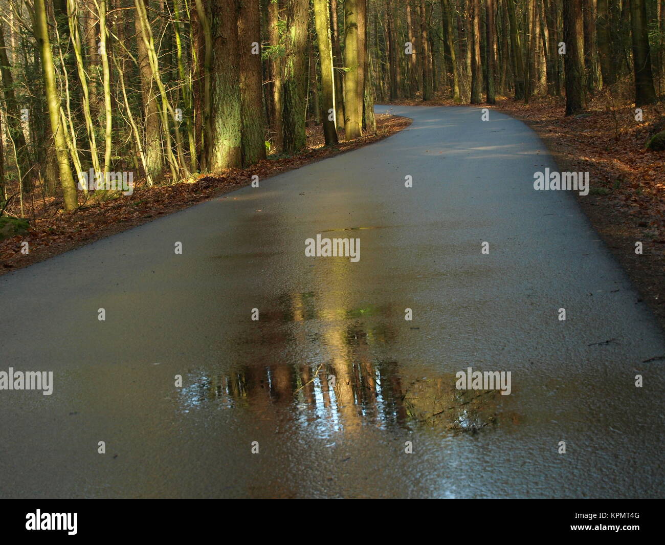 rain water road Stock Photo - Alamy