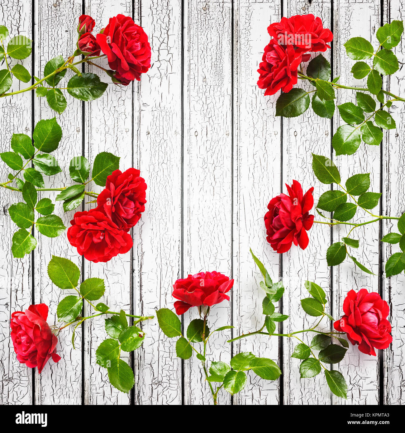 Red rose flowers on rustic white wooden background. Romantic floral ...
