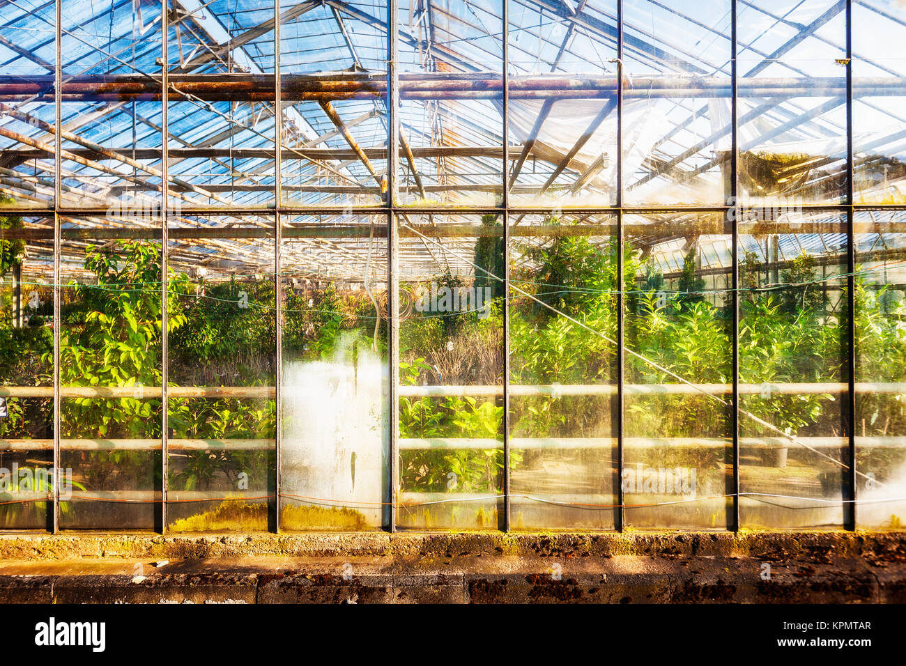 Front view of old greenhouse. Glasshouse background Stock Photo - Alamy