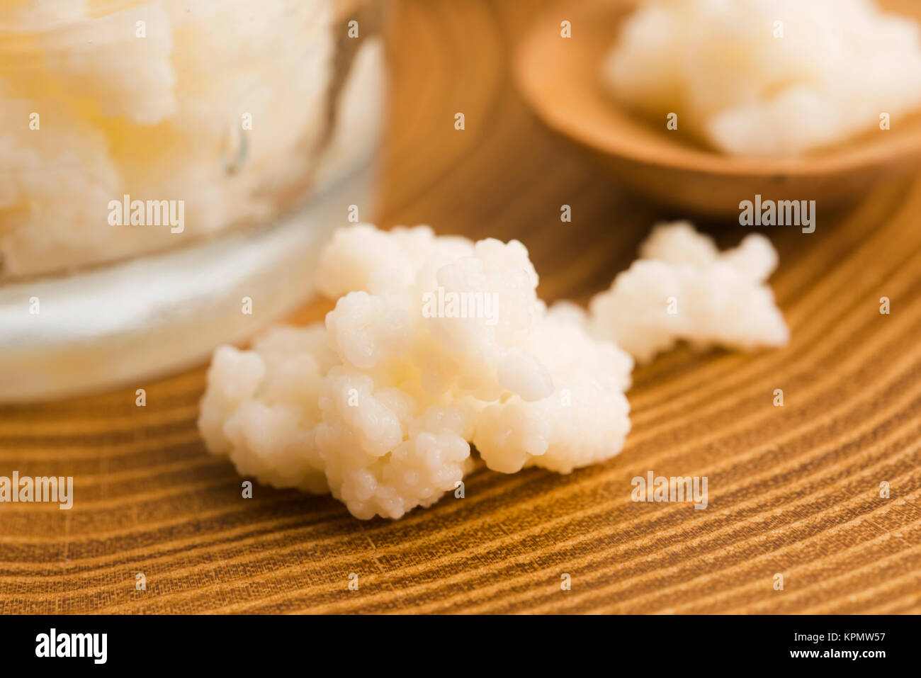Organic probiotic milk kefir grains Stock Photo - Alamy