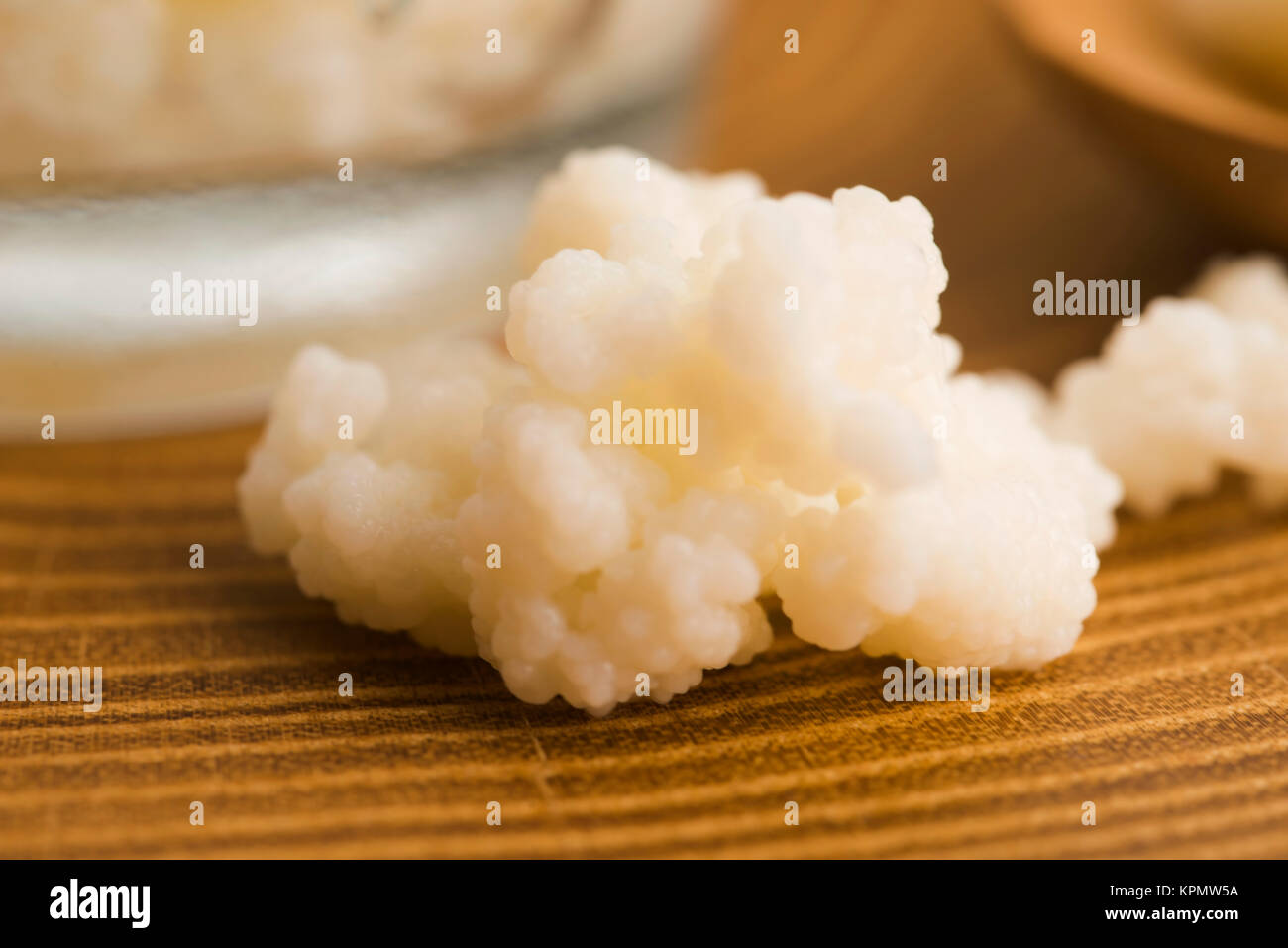 Organic probiotic milk kefir grains Stock Photo - Alamy