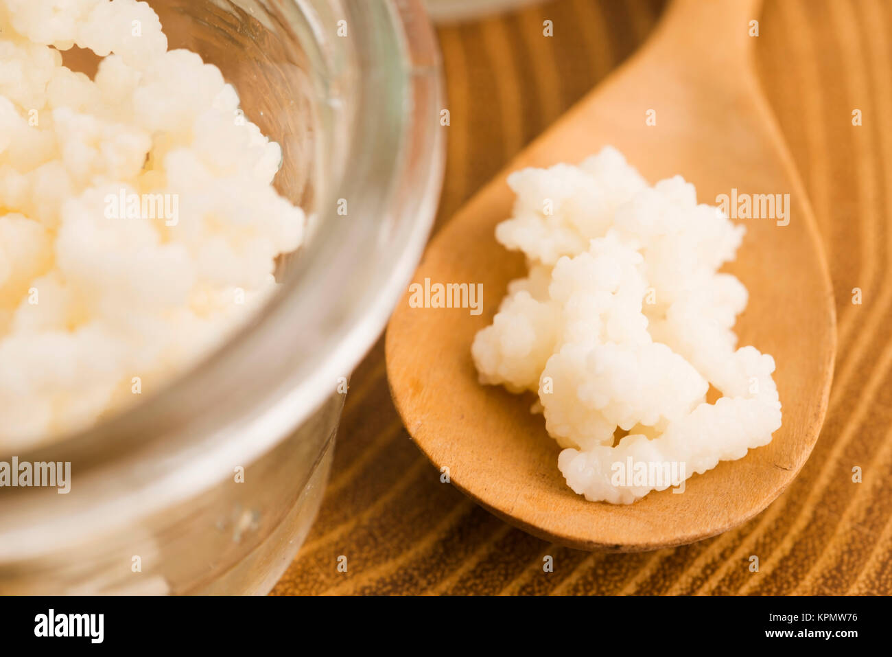 Organic probiotic milk kefir grains Stock Photo - Alamy